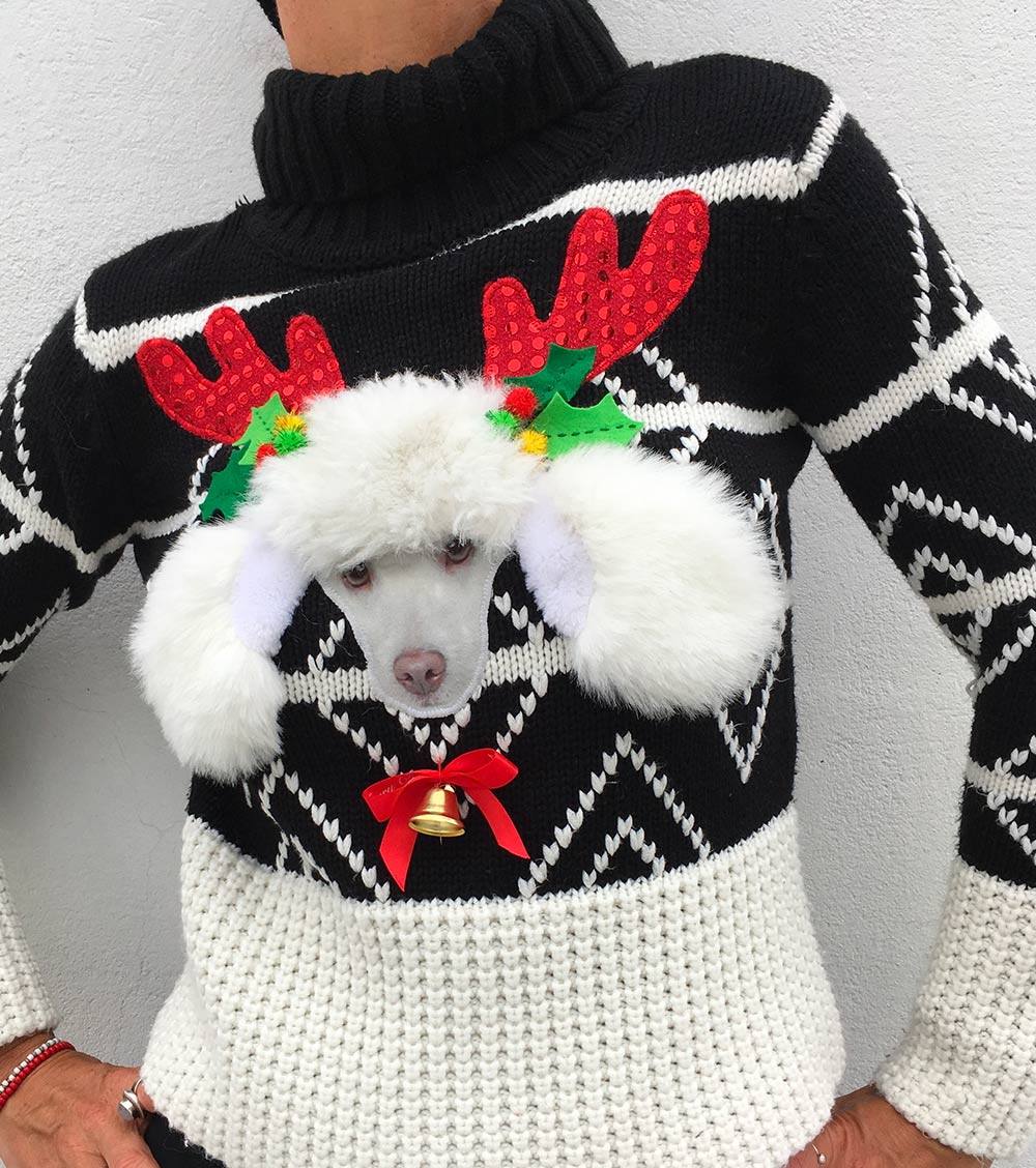 Accueil - Mon Pull Moche